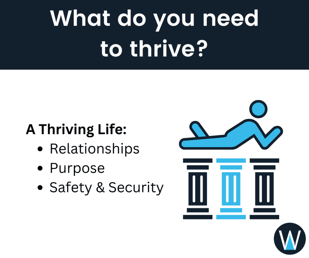 Surviving Vs. Thriving SEO | Nurture Your SEO Ecosystem